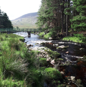Things To Do - Wild Nephin National Park - National Parks of Ireland