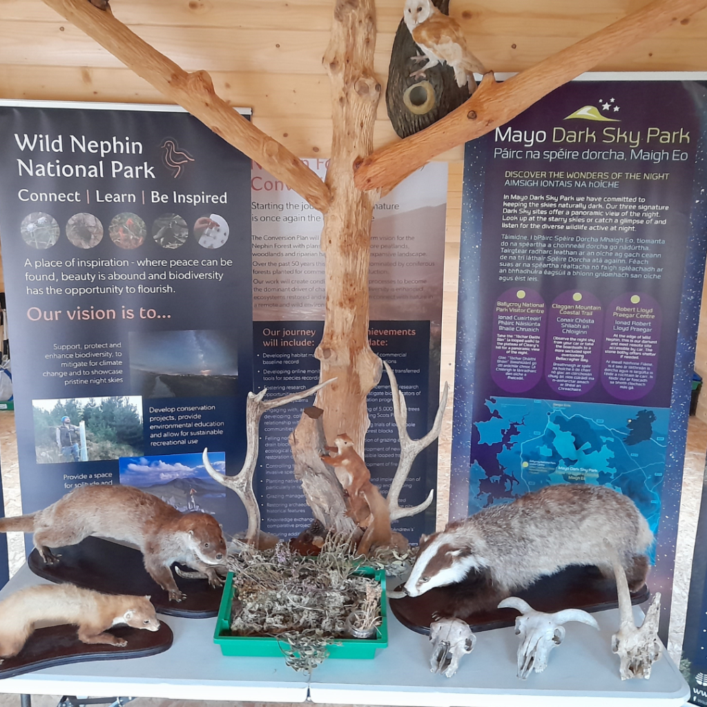 School Visits from the Team at Wild Nephin National Park - National ...