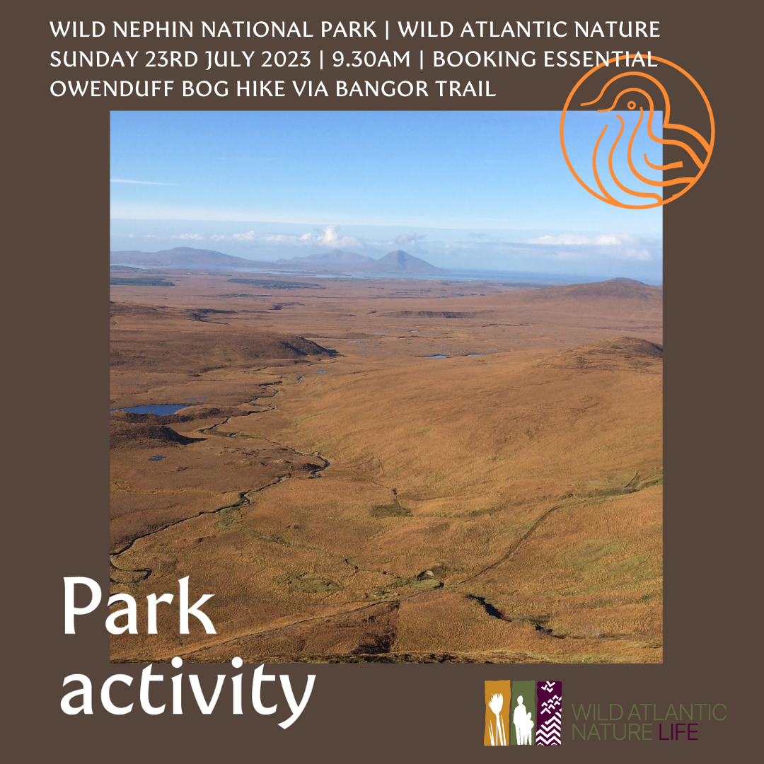 Guided Hikes in Wild Nephin National Park - National Parks of Ireland