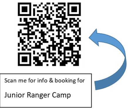 Summer Camps and Junior Ranger Camps in Killarney National Park ...