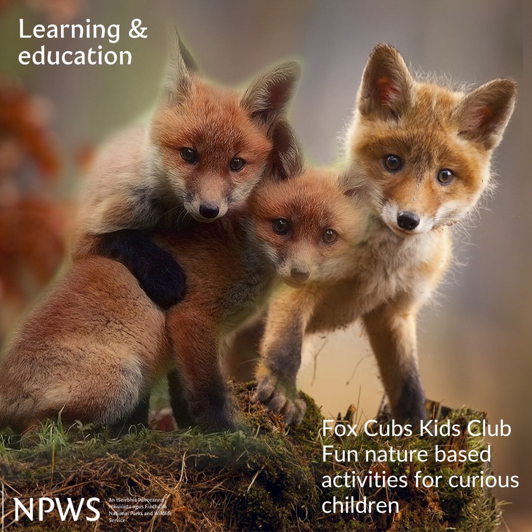 Fox Cubs Kid's Club - National Parks of Ireland